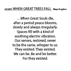 funeral-excerpt-When-Great-Trees-Fall - Lauren's Personalized Mass Booklets