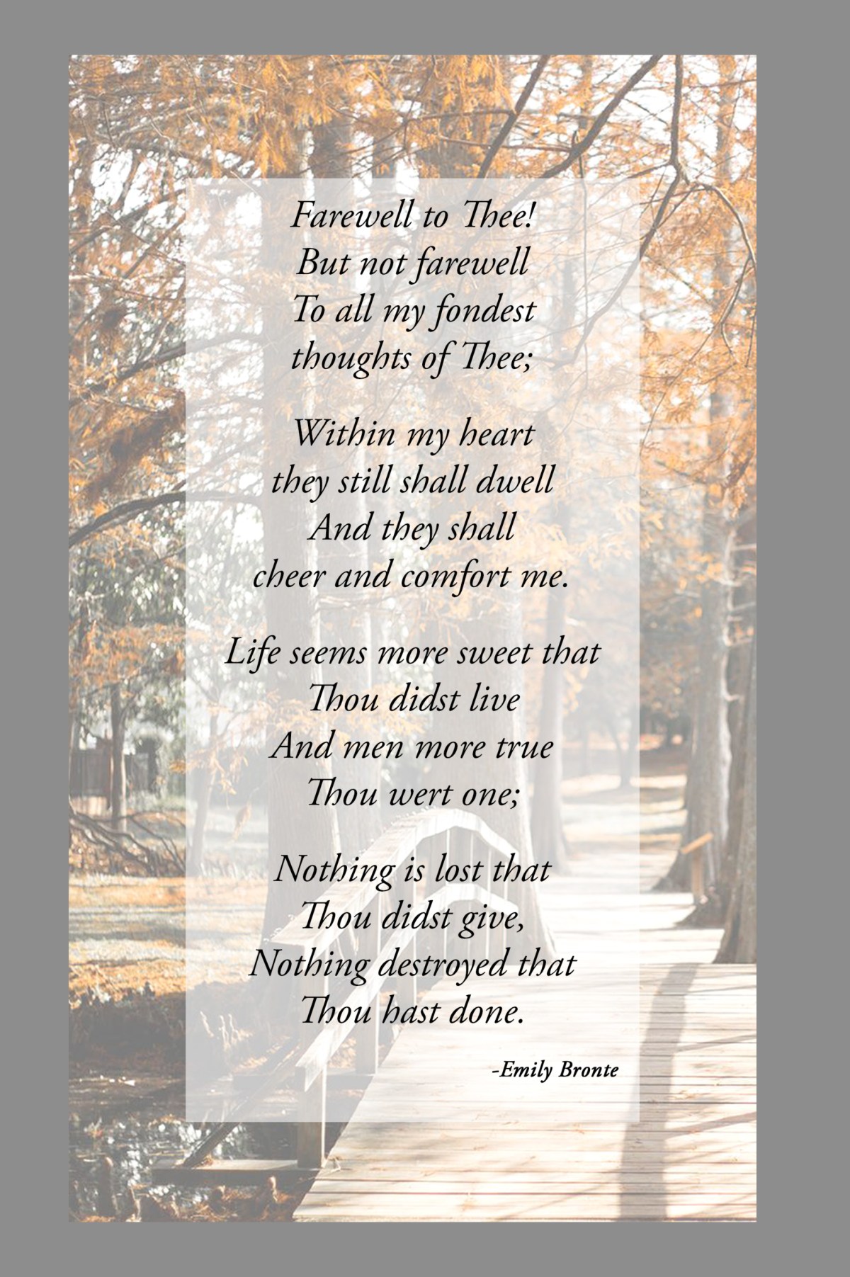 Woods/Nature Hiking Prayer Cards - Mass Booklets